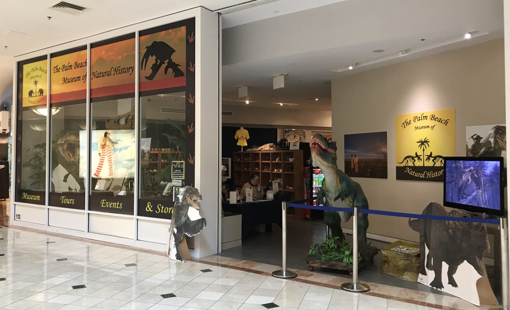 The Palm Beach Museum of Natural History | Visions of Vanished Worlds